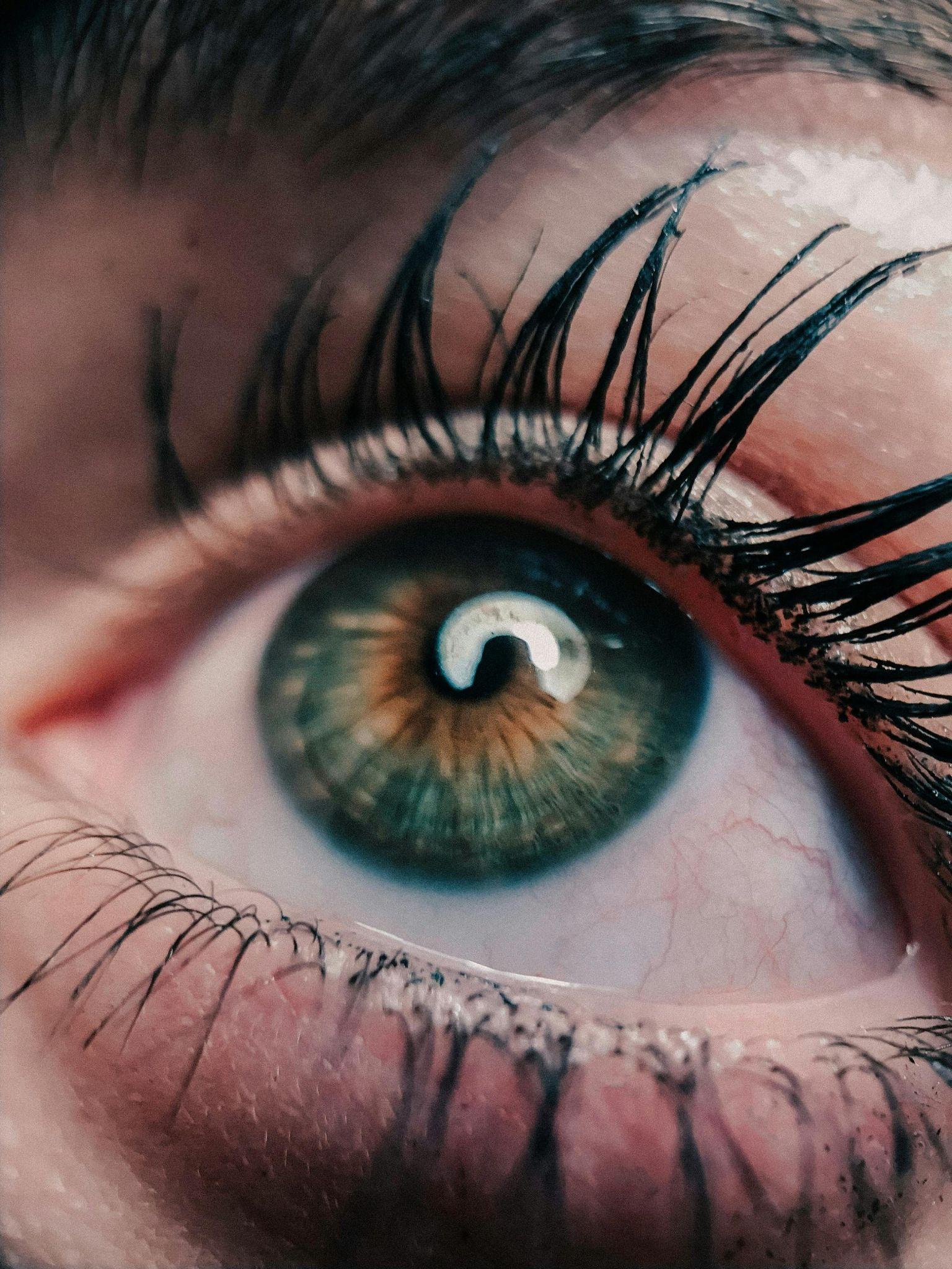 D15 Colour Vision Test